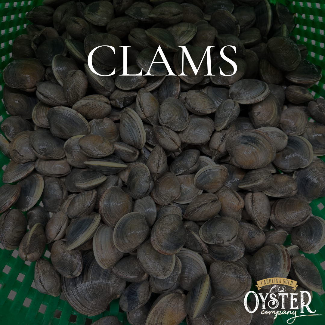 CLAMS – Carolina Gold Oyster Company / subsidiary of Three Little Spats ...