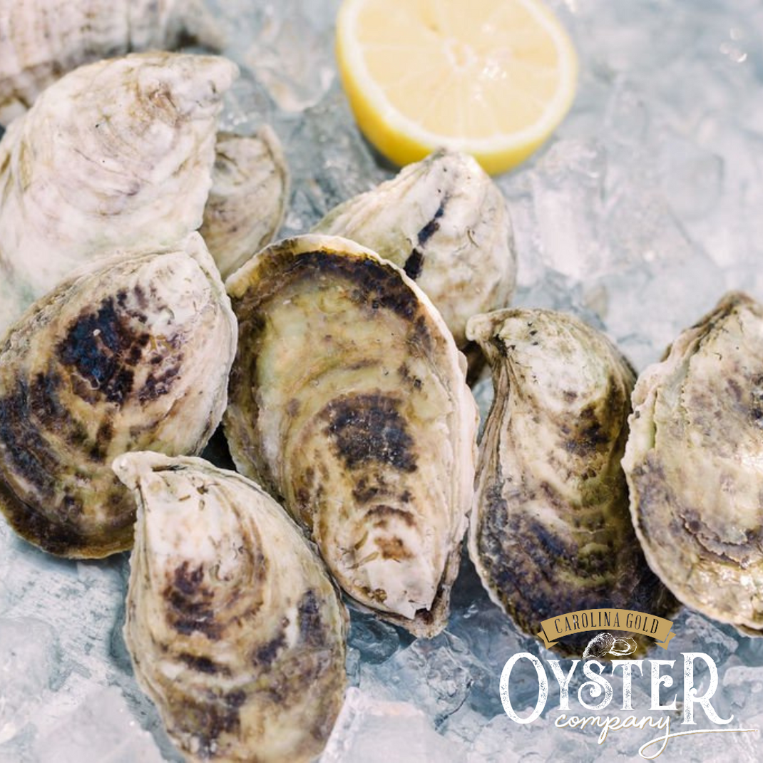 PRODUCTS – Carolina Gold Oyster Company / subsidiary of Three Little ...